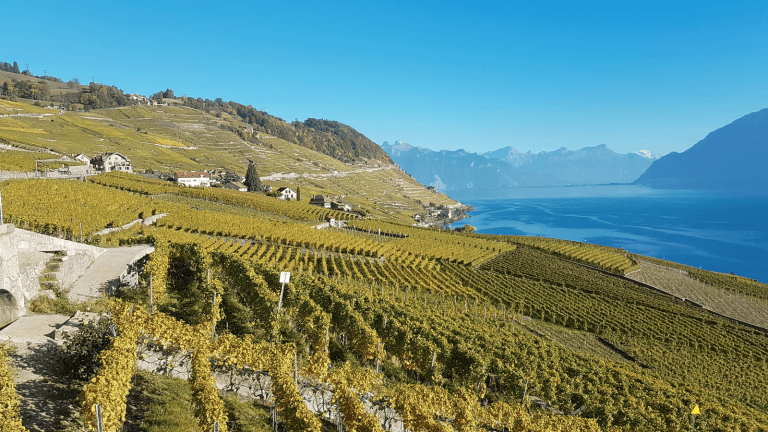 Things To Do in Geneva in the Fall | Local Flavours Tours